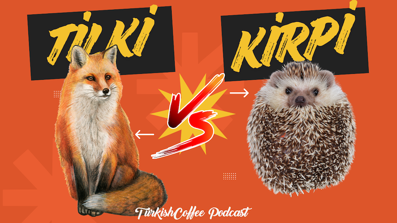 Tilki olmak mı Yoksa Kirpi Olmak mı? – Turkish Coffee